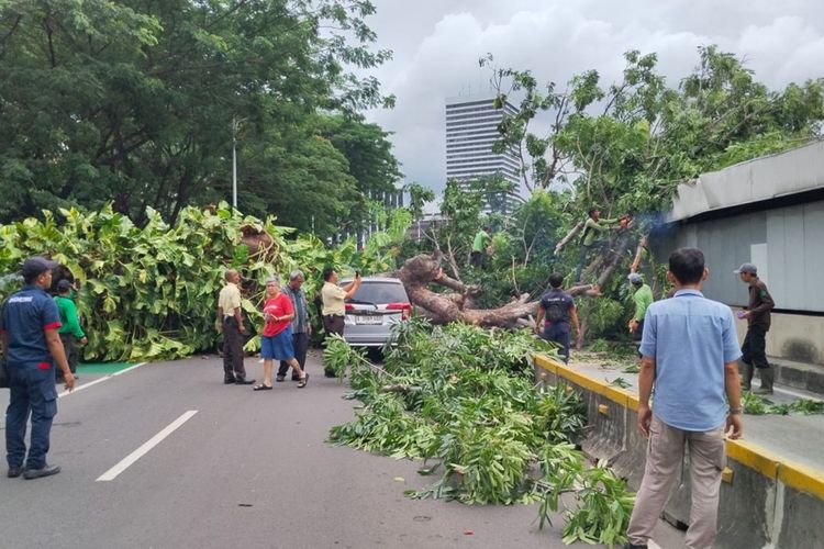 Insiden Senayan: Gangguan MRT Akibat Pohon Tumbang – Cantara.id